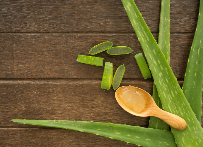aloe vera background | LIFESTYLE